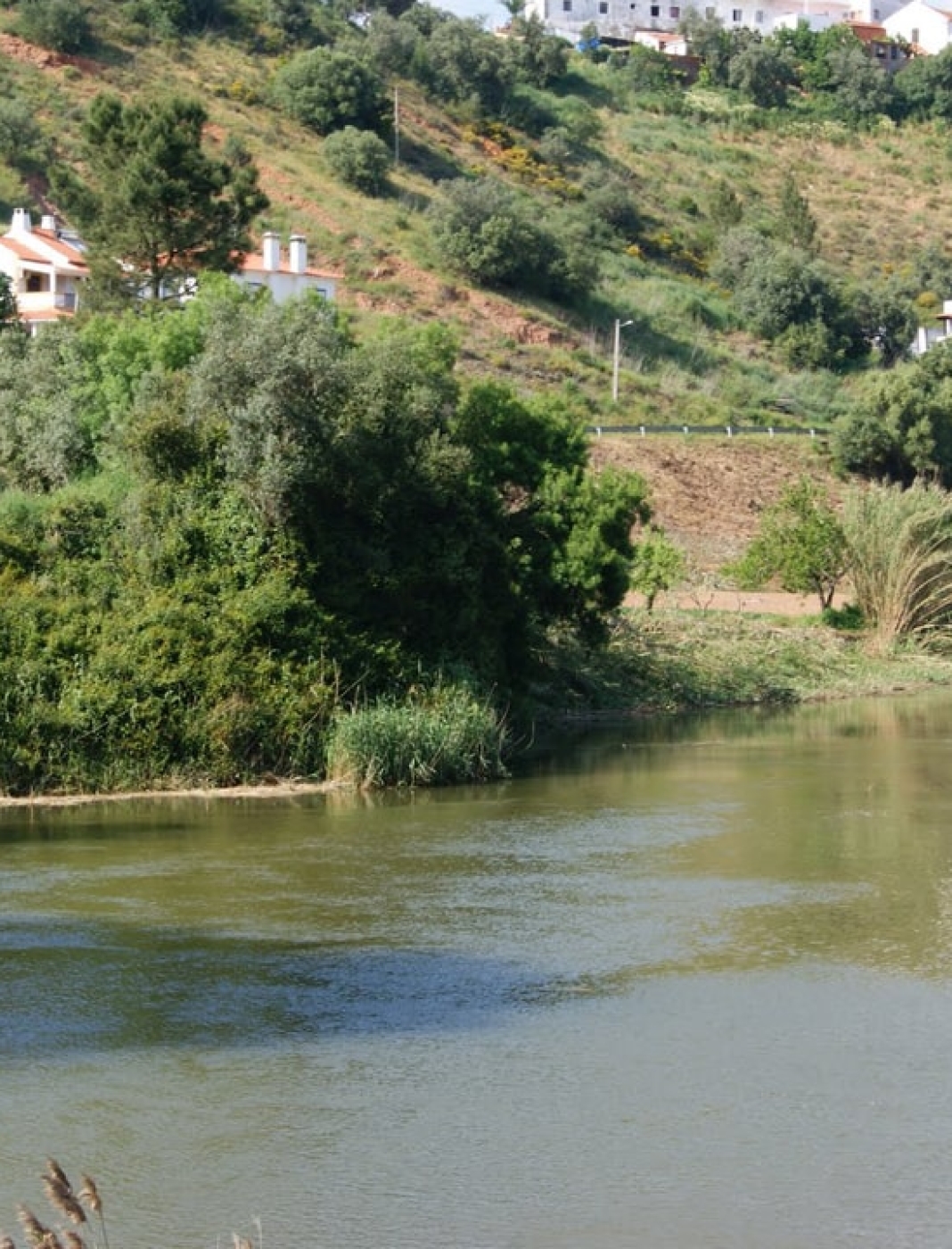 Rio Mira, Um Rio com História - Herdade do Amarelo